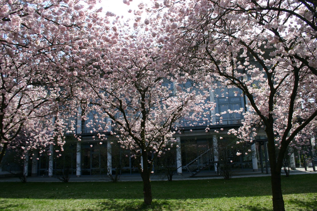 Veranstaltungen in der Max-Reger-Halle Weiden i.d.Opf - NT-Ticket